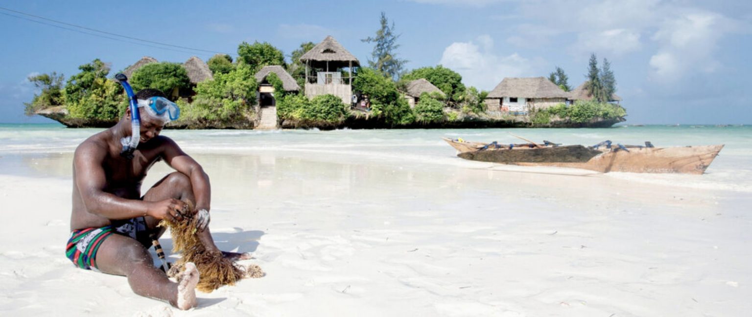 Pongwe, East Zanzibar : Kili Glacier Adventures